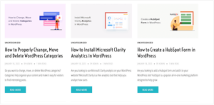 How to Display Post Excerpts in WordPress Themes
