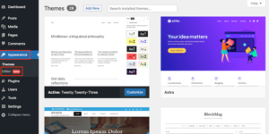 How to use Visual Editor to Create Widgets in WordPress