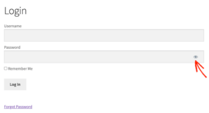 How to Allow Users to Hide/Show Passwords on WordPress Login Screen