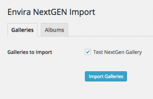 How to Switch From NextGEN to Envira Gallery in WordPress