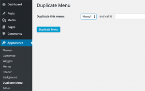 How to Create a Duplicate Menu in WordPress with One Click