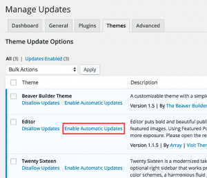 How to Better Manage Automatic WordPress Updates