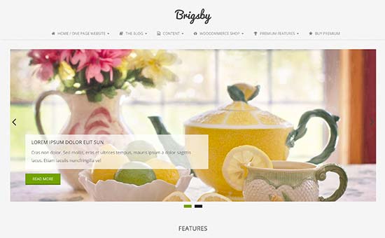 21 Best WordPress Themes for Family Blogs (2022)