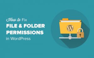 How to Fix File and Folder Permissions Error in WordPress