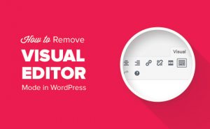 How to Remove Visual Editor Mode in WordPress
