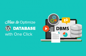 How to Optimize Your WordPress Database with One Click