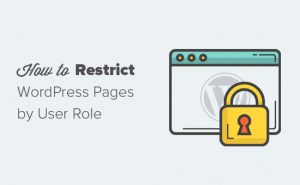 How to Restrict WordPress Pages by User Role