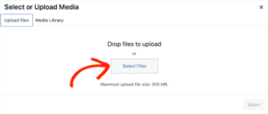 How to Bulk Upload WordPress Media Files using FTP