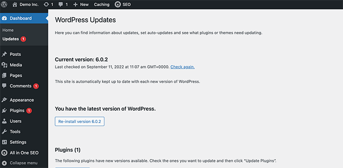 6 Important Reasons Why You Should Use WordPress for Your Website