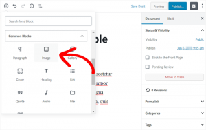 How to Add Caption to Images in WordPress