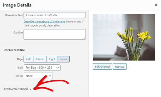 Image Alt Text vs Image Title in WordPress - What's the Difference?