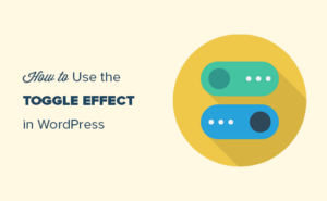 How to Show and Hide Text in WordPress Posts with the Toggle Effect