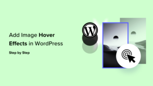 How to Add Image Hover Effects in WordPress (Step by Step)