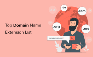 12 Top Domain Name Extension List 2022 (TLDs, gTLDS, ccTLDS)