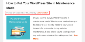 How to Display Blog Post Meta Data in WordPress Themes
