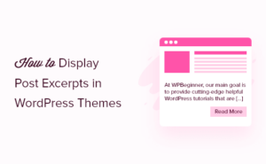 How to Display Post Excerpts in WordPress Themes